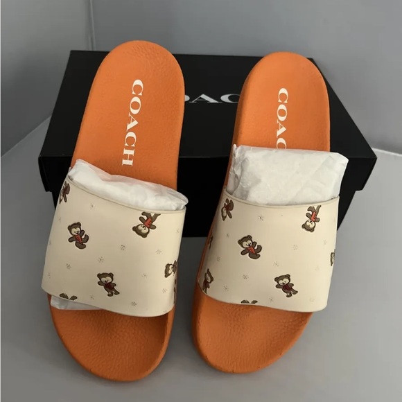 Coach | Shoes | Coach Udele Printed Signature Slide Size B C6965chalk ...